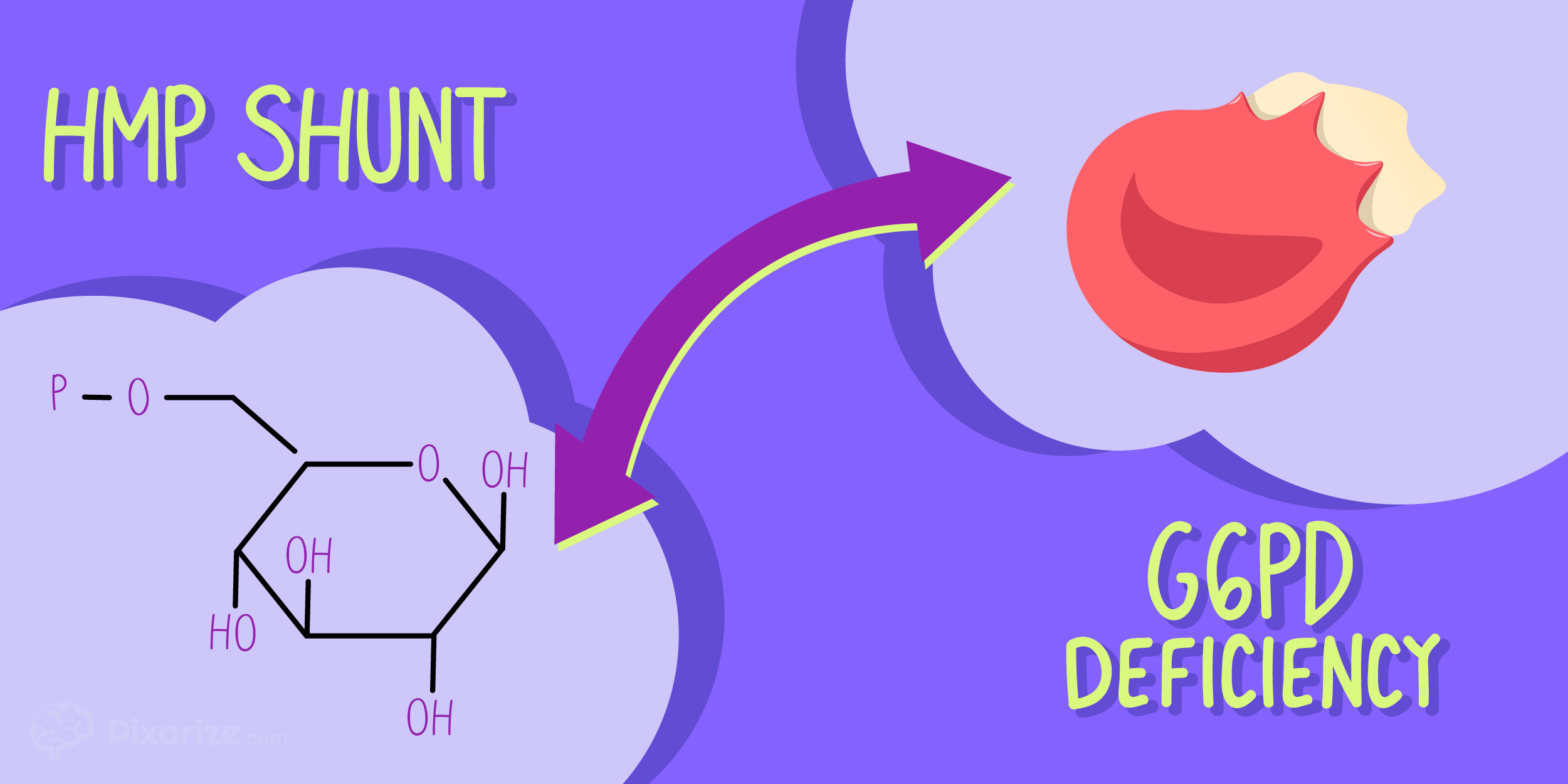 5 Tips to Master USMLE Step 1 Biochemistry – Pixorize Blog